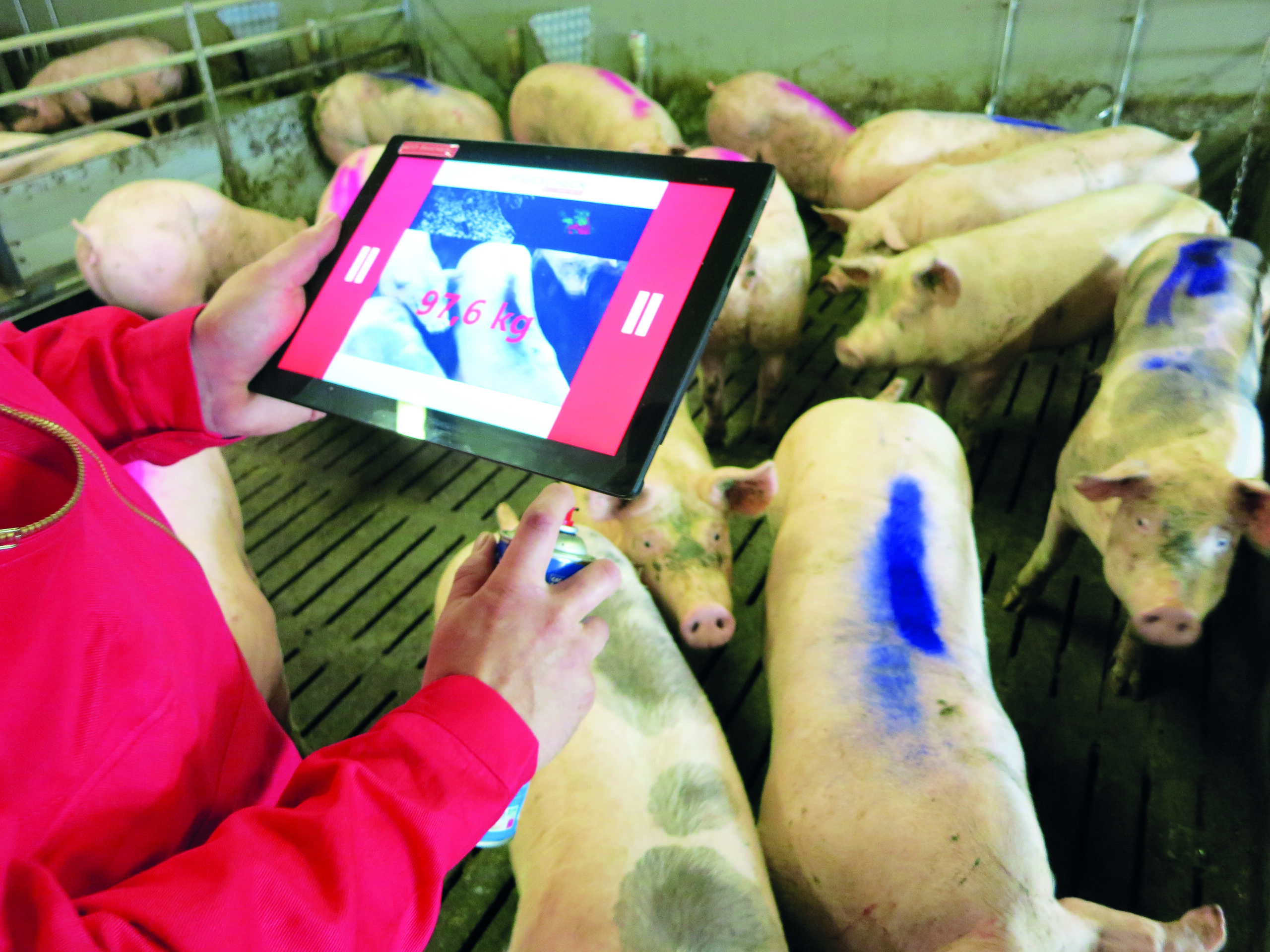 EuroTier 2016 – ideas for easier, and cheaper, pig production - Pig World