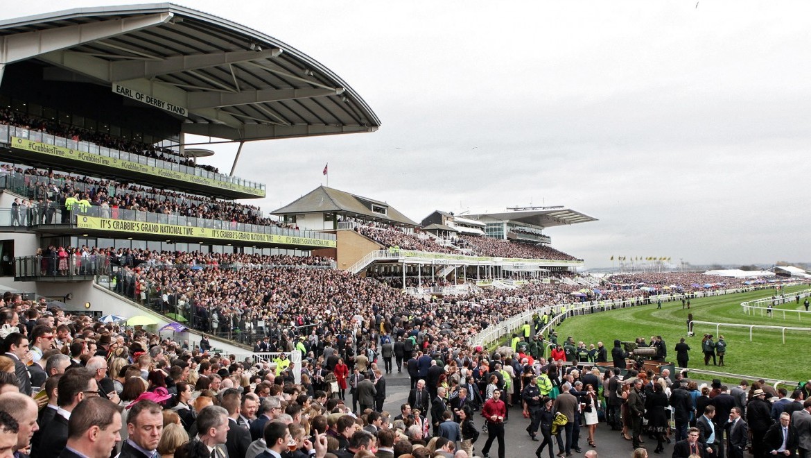 RUMA condemns Grand National antibiotic 'publicity stunt' - Pig World