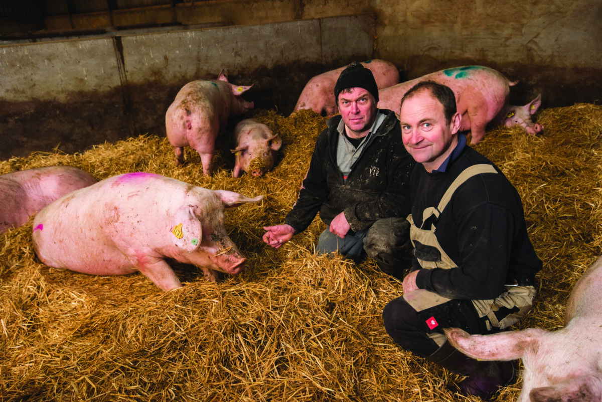 "I want to become one of the really good guys" - Pig World