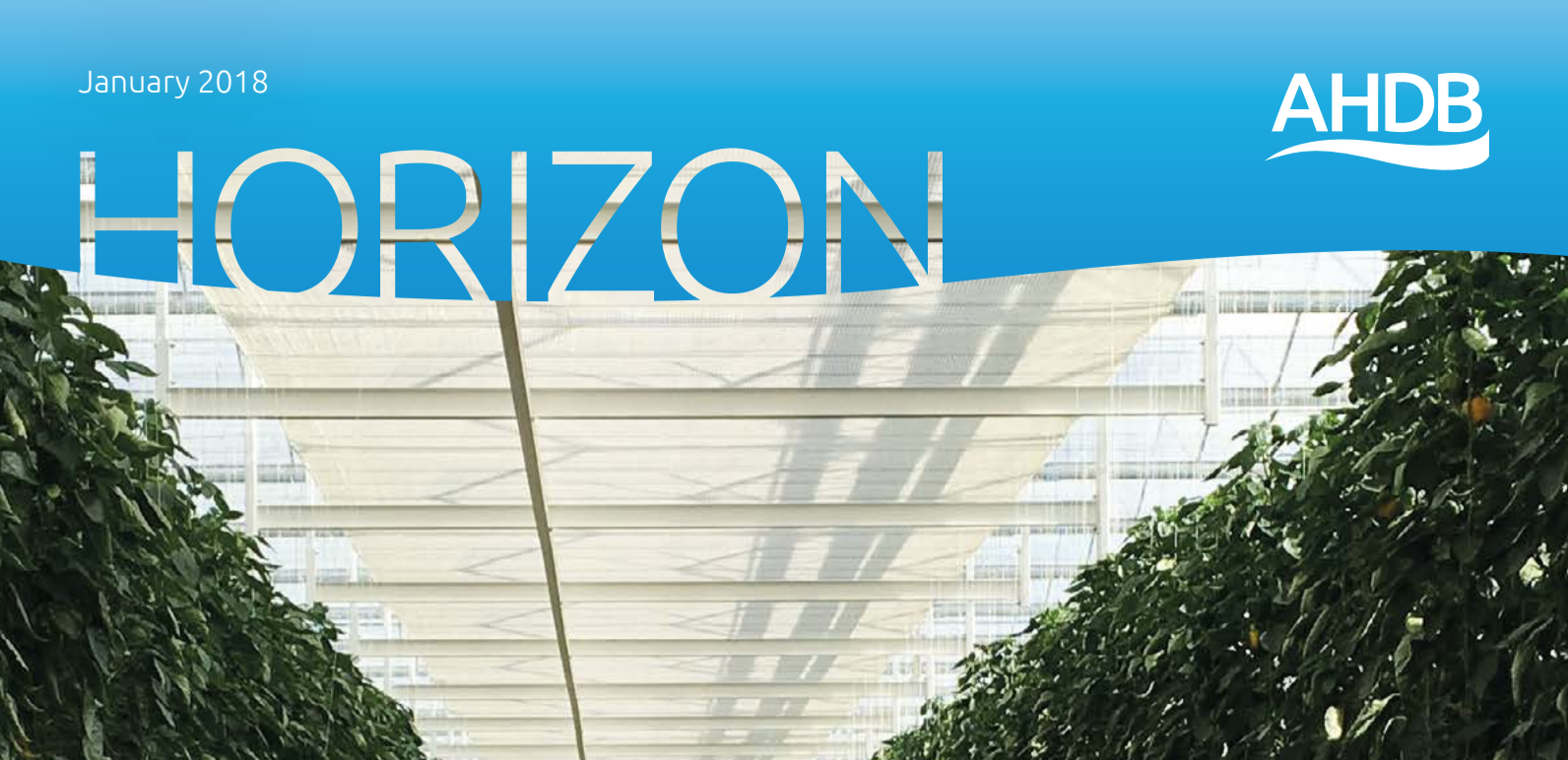 Call for UK agriculture to close the productivity gap - Pig World