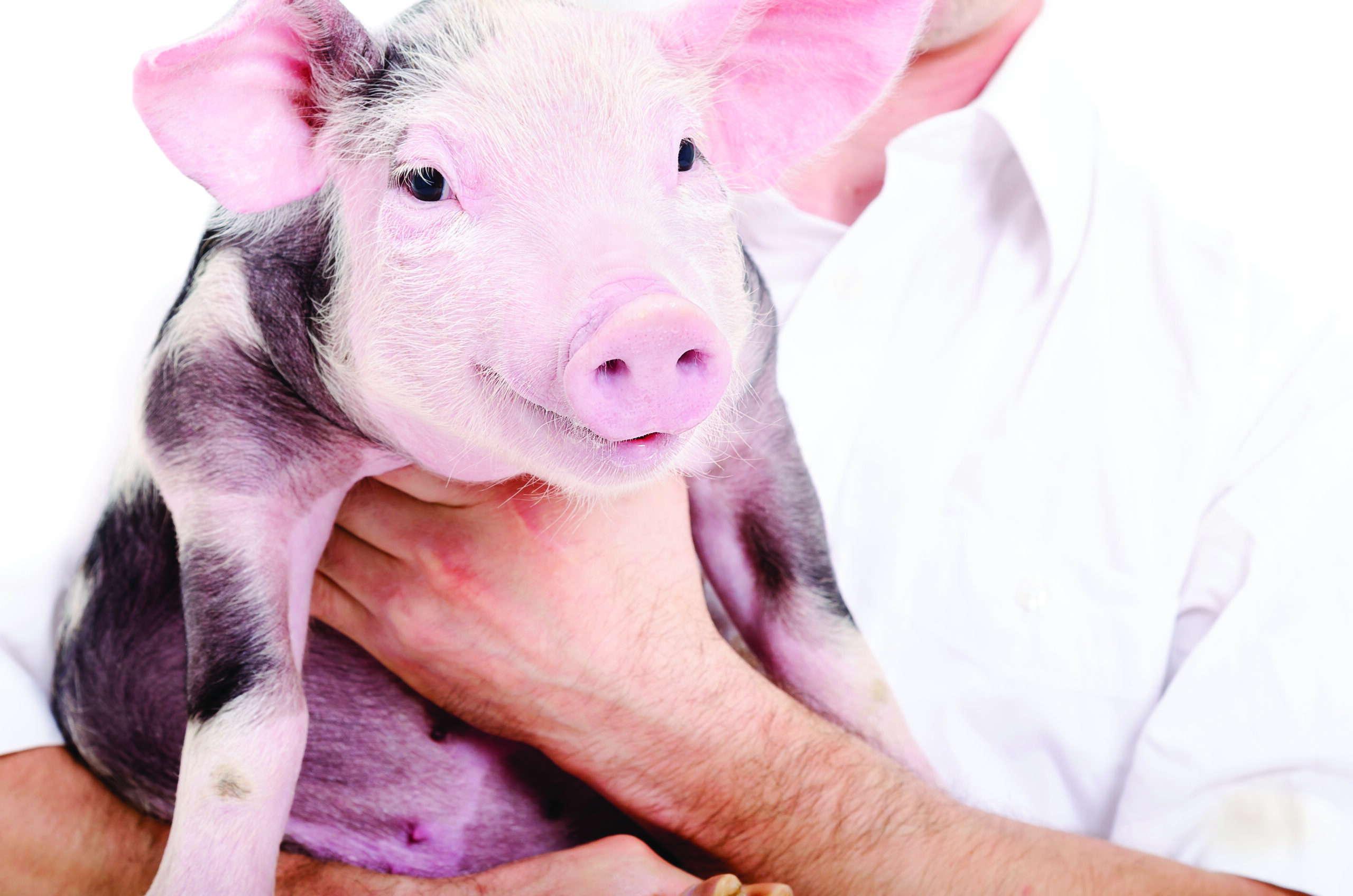 Why planning and patience are the keys to meeting the antibiotic ...