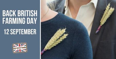 Westminster joins NFU to celebrate Back British Farming - Pig World