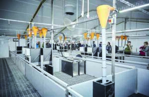 Inside the new National Pig Centre - Pig World