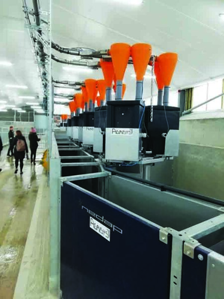 Inside the new National Pig Centre - Pig World