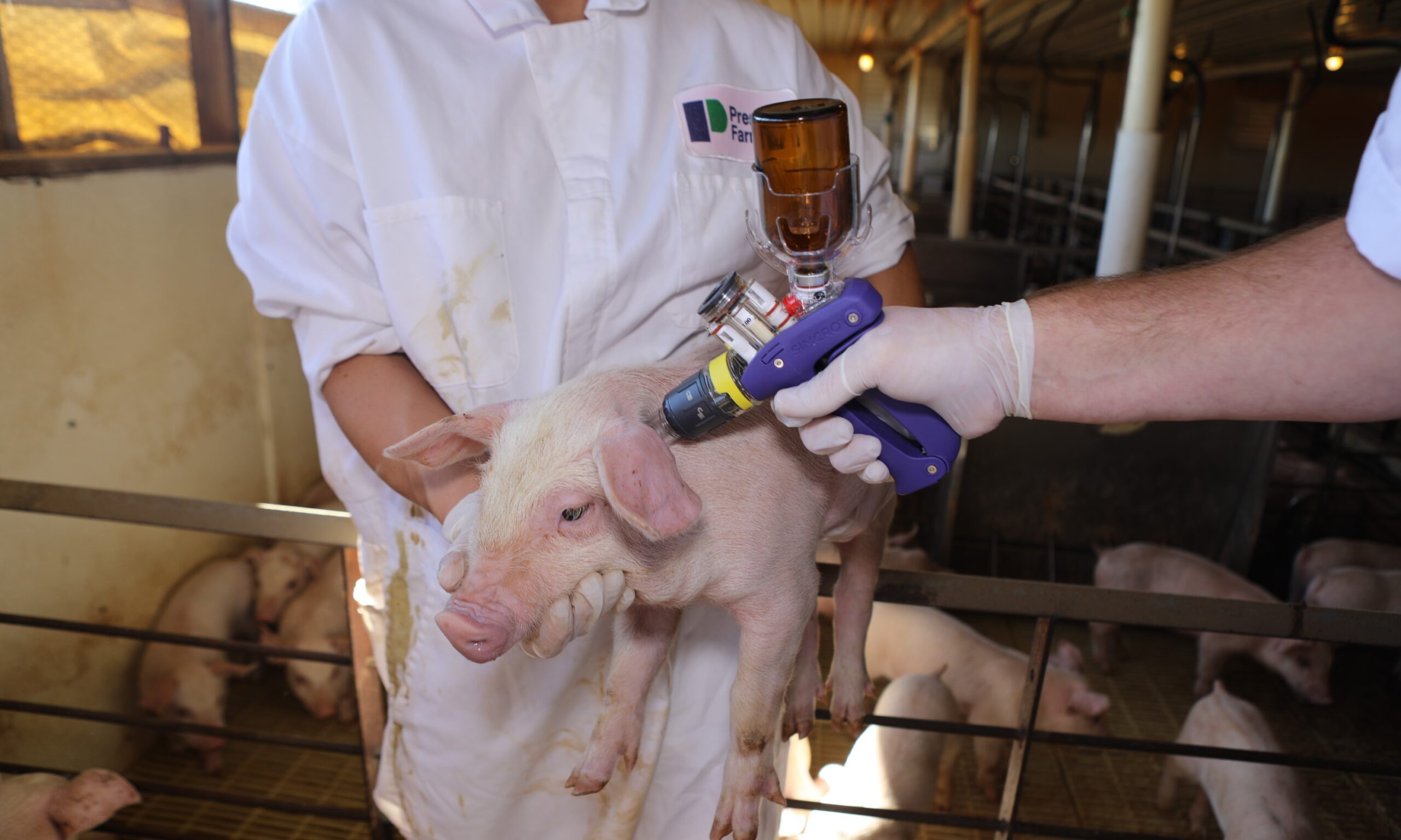 New injector 'meets swine producers' requirements for compliance and ...