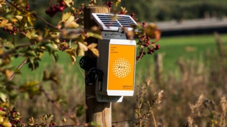 AgriSound's insect listening device installed at Cranswick farms to ...