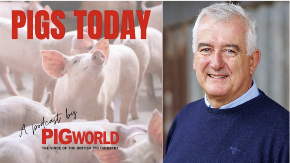 Pigs Today podcast: AHDB Pork Sector Chair sets out case for levy ...
