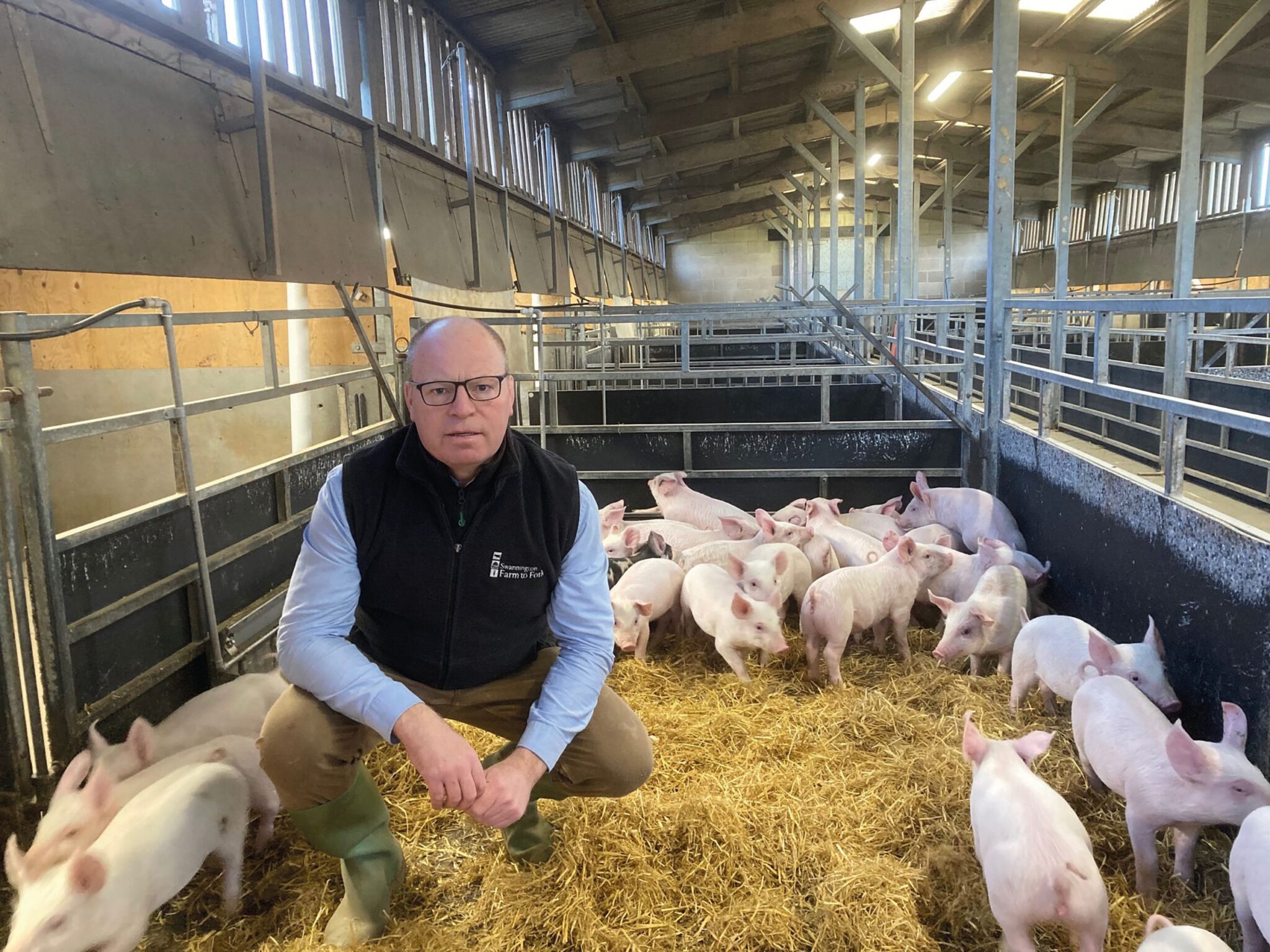 Budget row, biosecurity concerns and weather - where the pig sector is ...