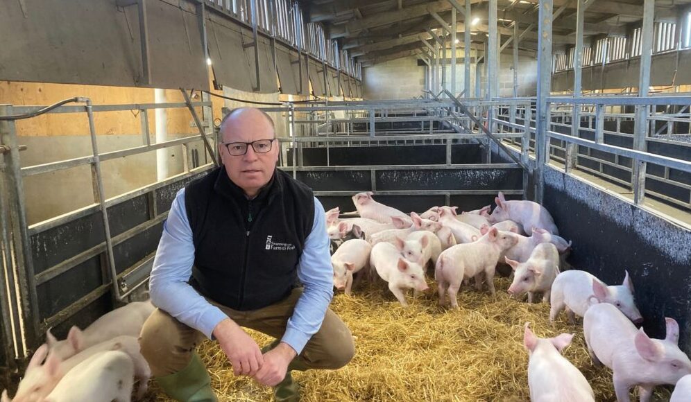 'An opportunity to step forward and shape your industry' - Pig World