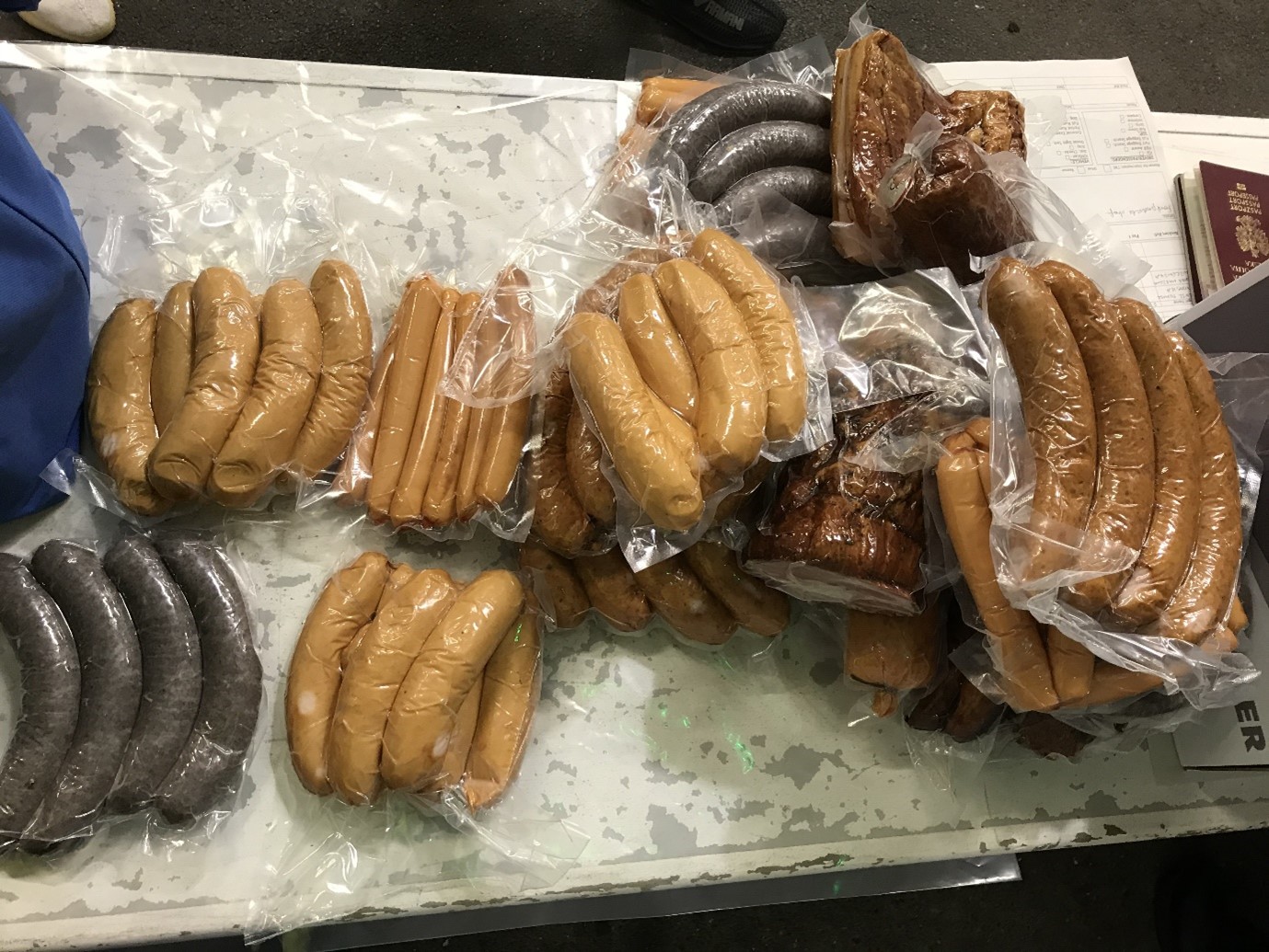 15kg of illegally-imported pork seized at Hull as potential ASF hazard ...