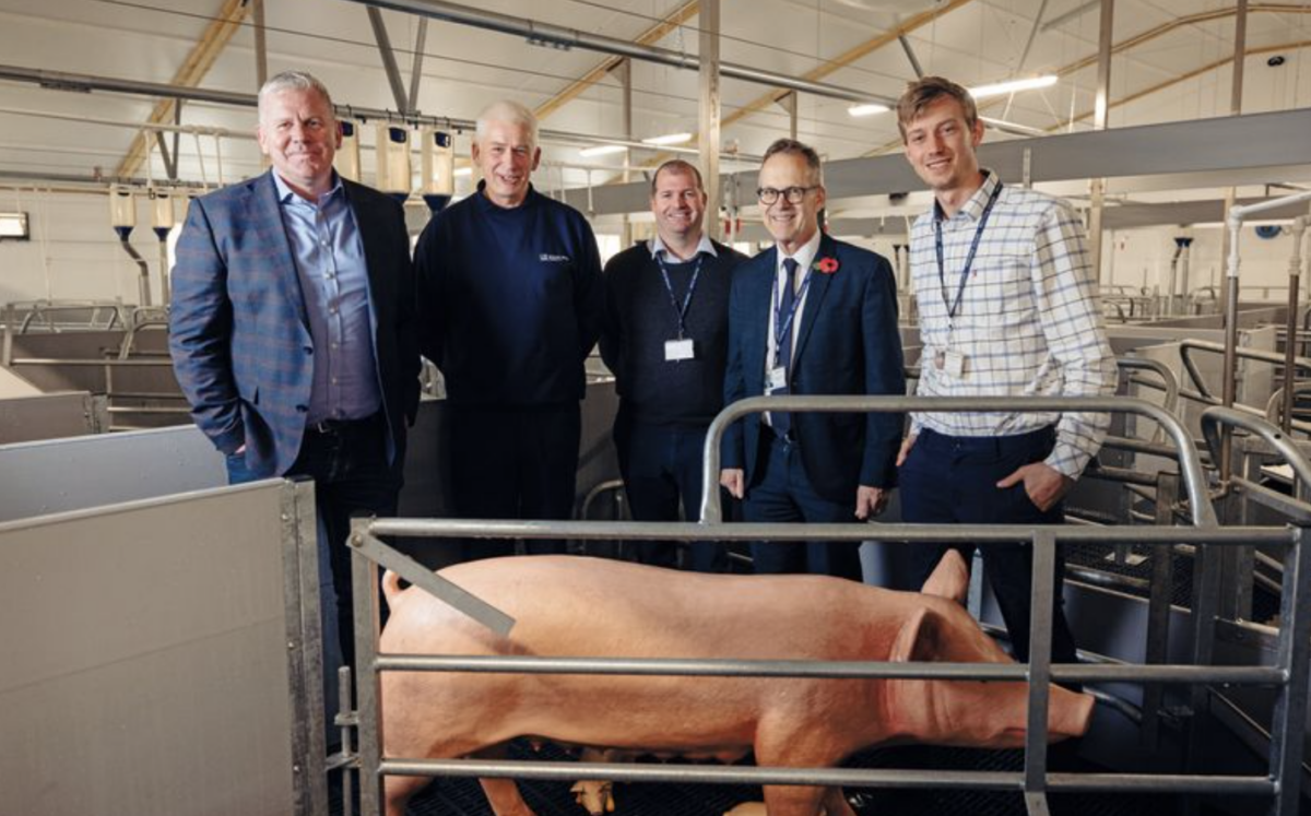 Farming Today explores future of farrowing crates at Bishop Burton ...