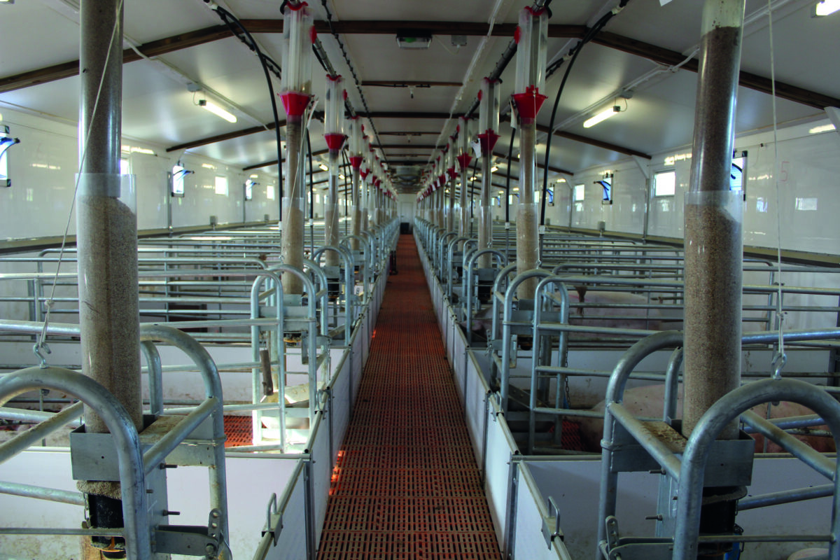 Feature: Mitigating ammonia emissions – reduction priorities and ...