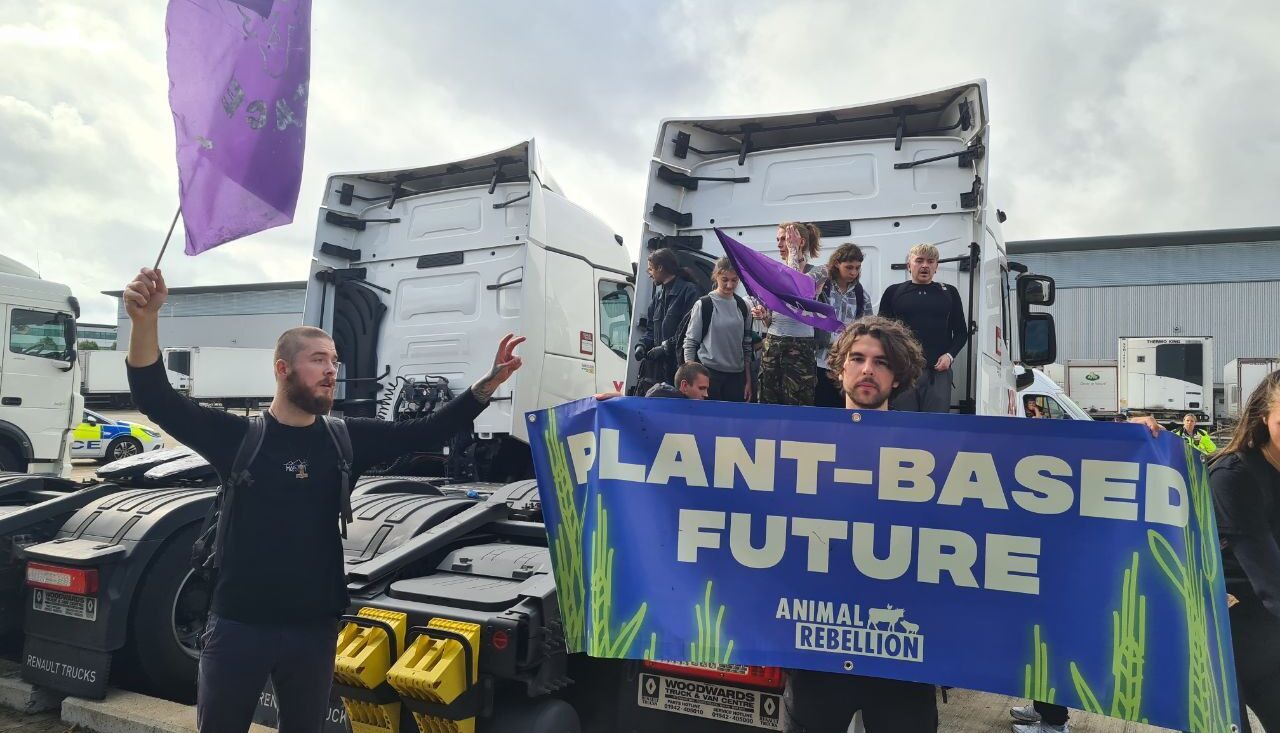 Animal Rising activists fined £55,000 and given suspended sentences ...