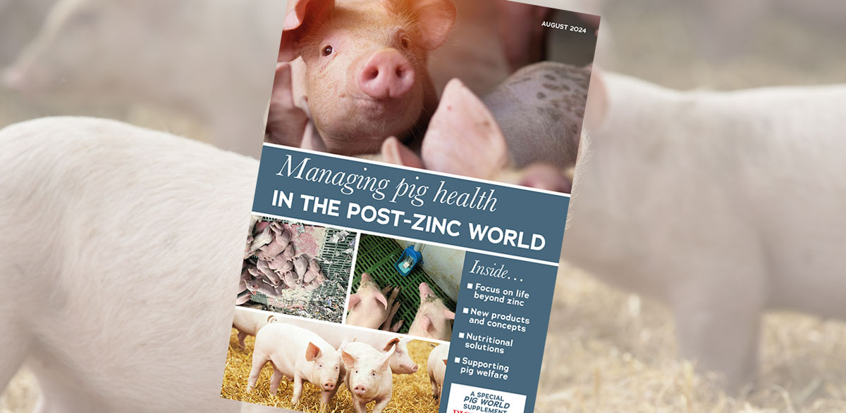 2024 Pig Health supplement now available - Pig World