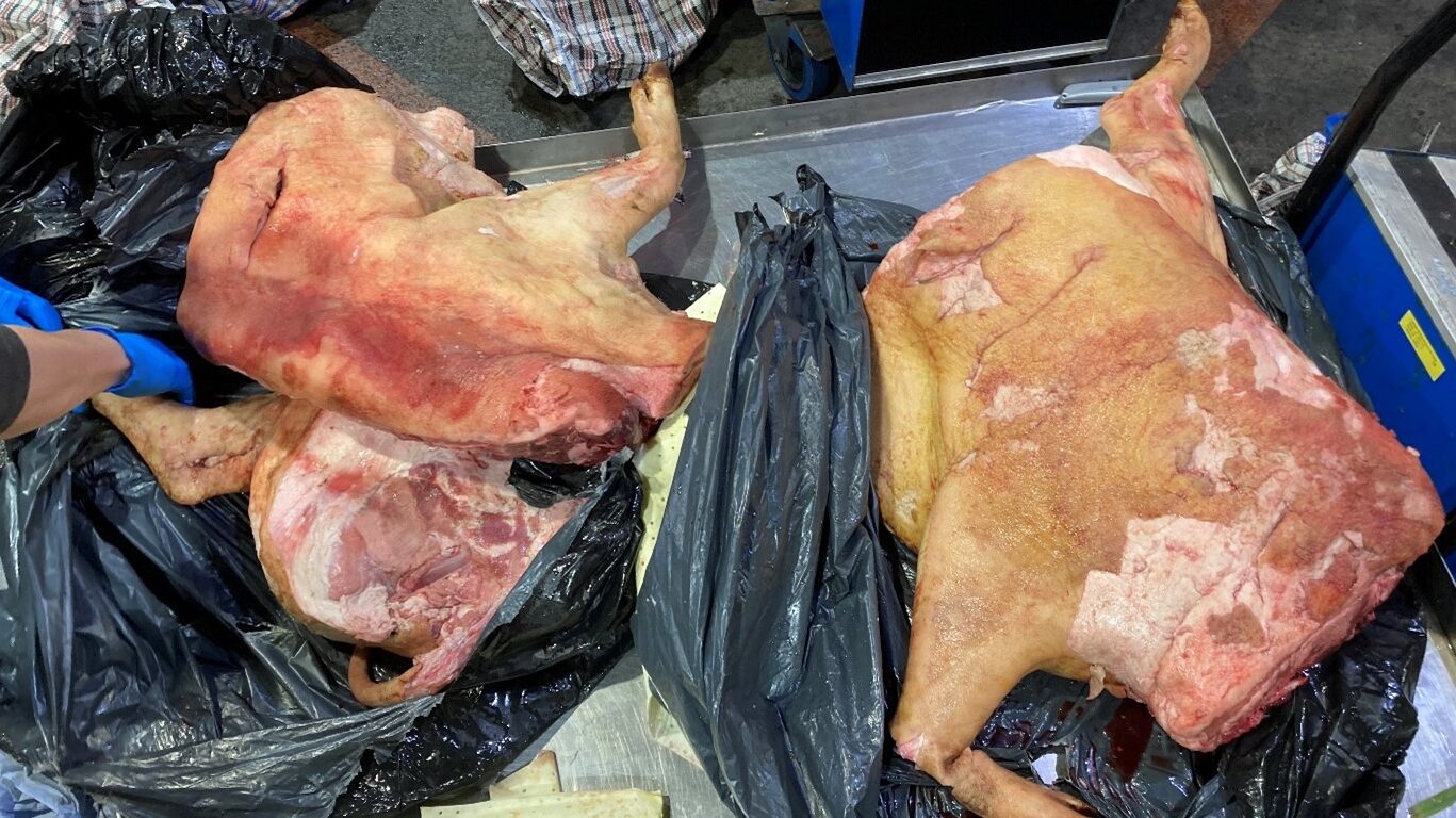 Industry urges government to tighten up border controls, after Germany ...