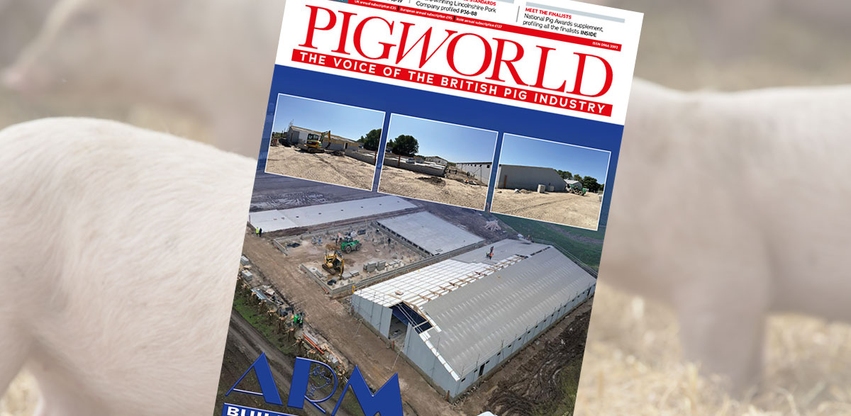 November 2024 issue of Pig World now available - Pig World