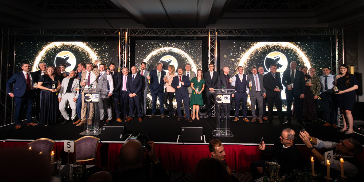 National Pig Awards 2024 - all the winners revealed - Pig World