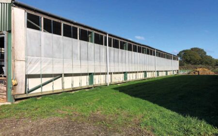 Necessity and ambition drive Pilgrim’s pig expansion plans - Pig World