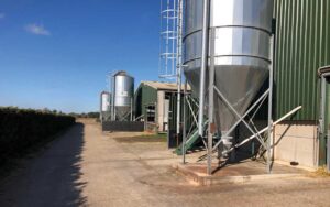 Necessity and ambition drive Pilgrim’s pig expansion plans - Pig World