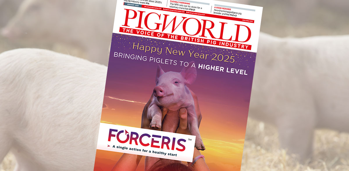 January 2025 issue of Pig World now available - Pig World