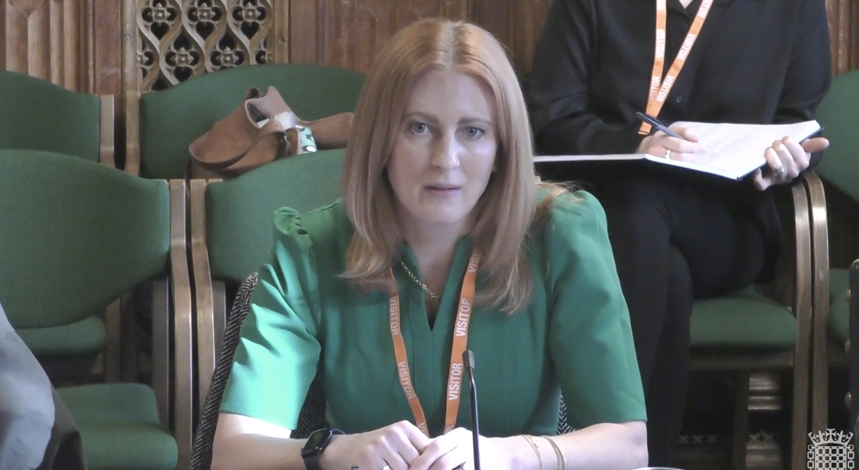 NPA chief exec tells MPs government will be complicit in future disease ...