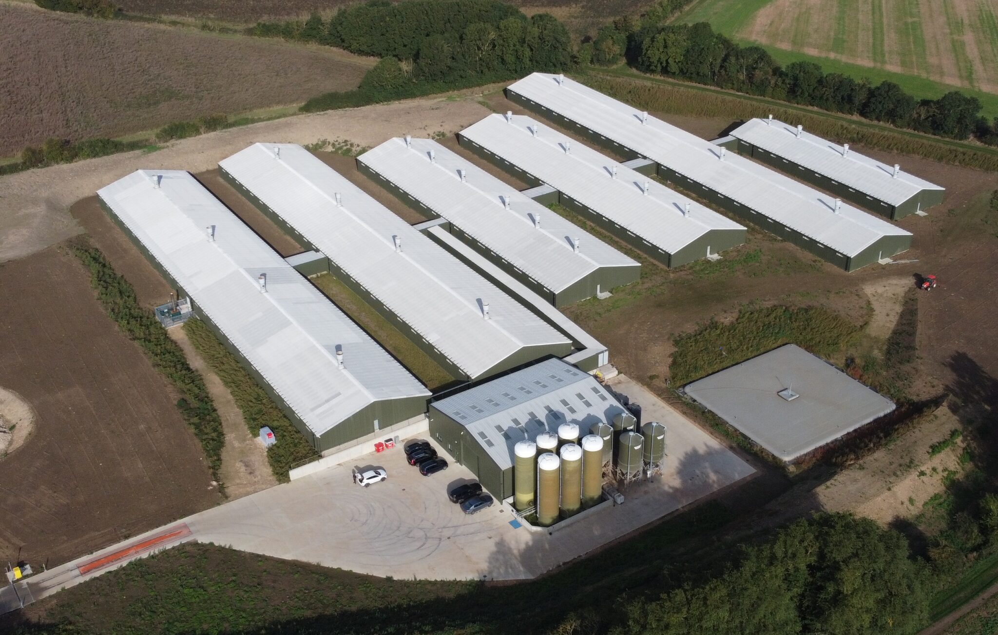 NPA calls for planning reforms to help pig sector grow and deliver ...