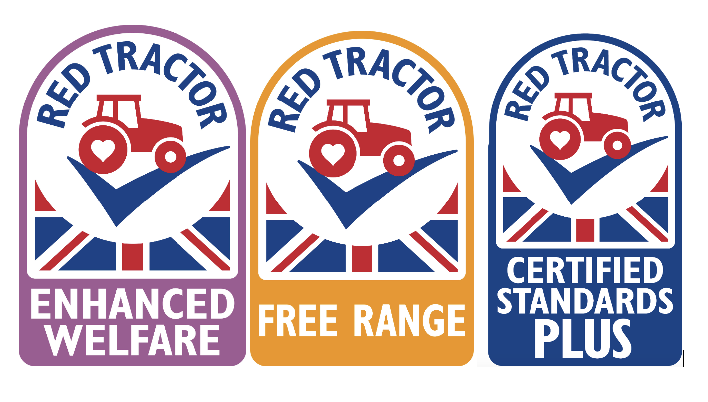 Red Tractor consults industry on new tiered pig welfare standards - Pig ...
