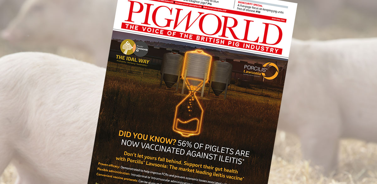 May 2025 issue of Pig World now available - Pig World