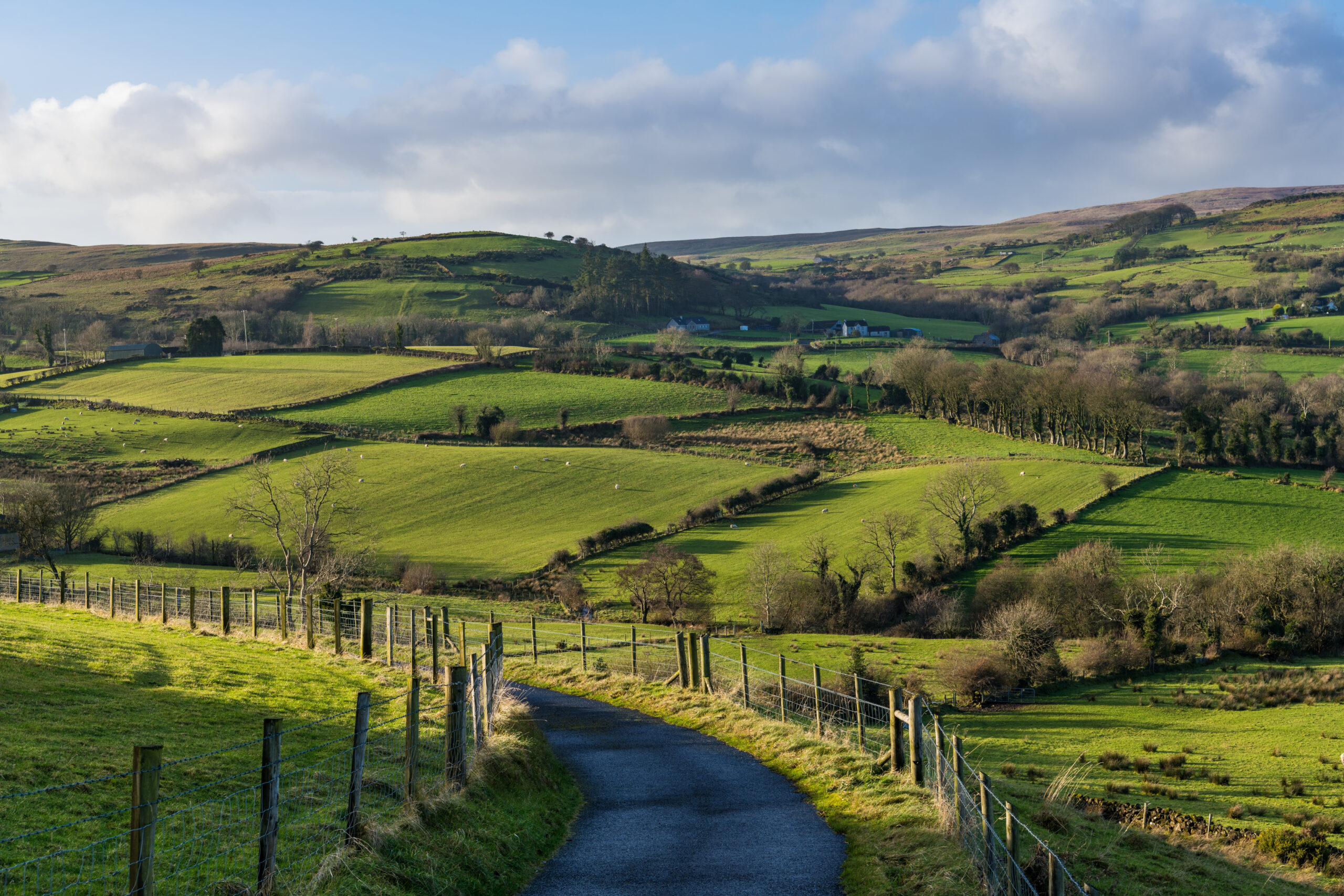 NI NAP proposals could cost agri-food sector more than £1.5bn, research ...