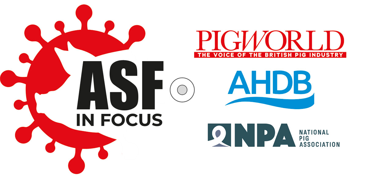 ASF in Focus: Spotlight on UK pig sector’s biggest threat - Pig World