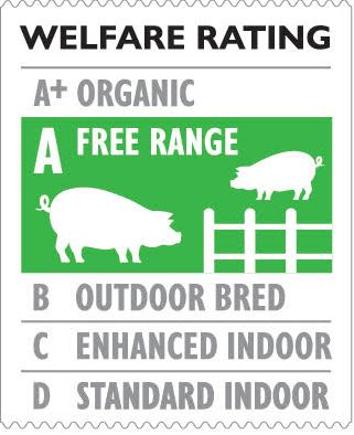 Waitrose to move to 100% British free-range pork by 2027 - National Pig ...