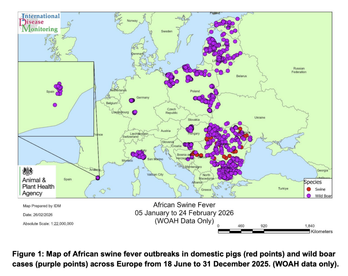 ASF detected in 16 European countries in first two months of 2026 - Pig ...