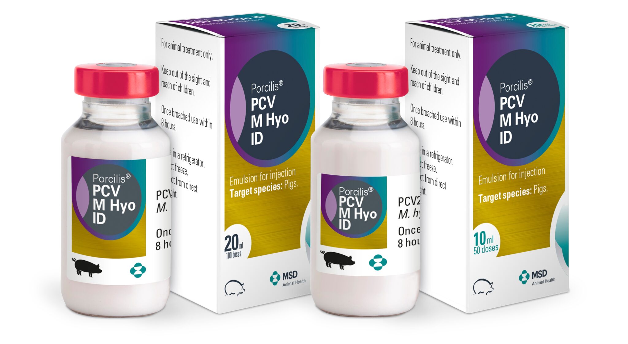 MSD launches new intradermal pig vaccine in the UK - Pig World