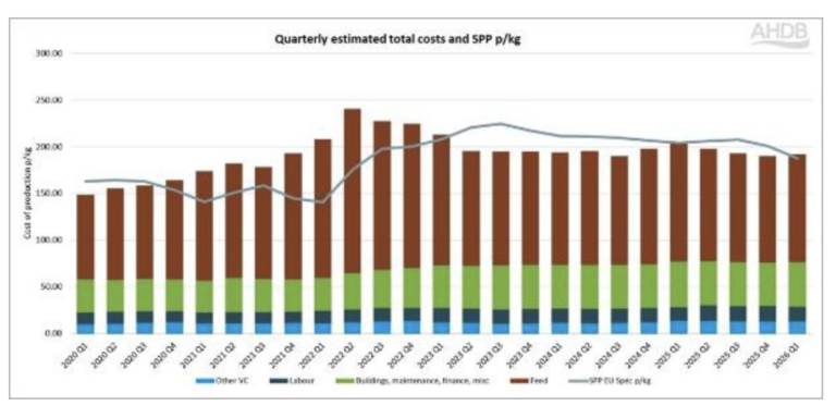 Falling prices and rising costs force pig sector into the red in Q1 ...