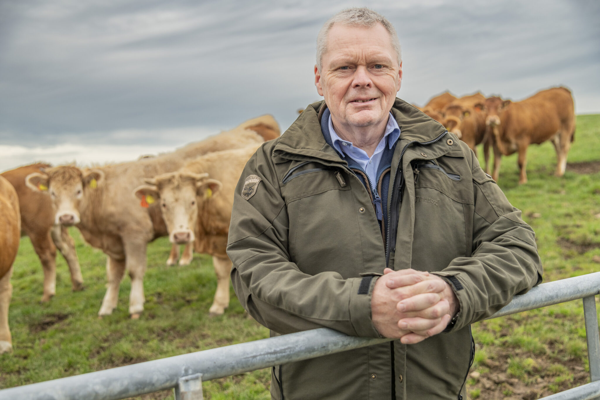 Scottish pig sector under 'severe pressure' and 'fighting for its ...