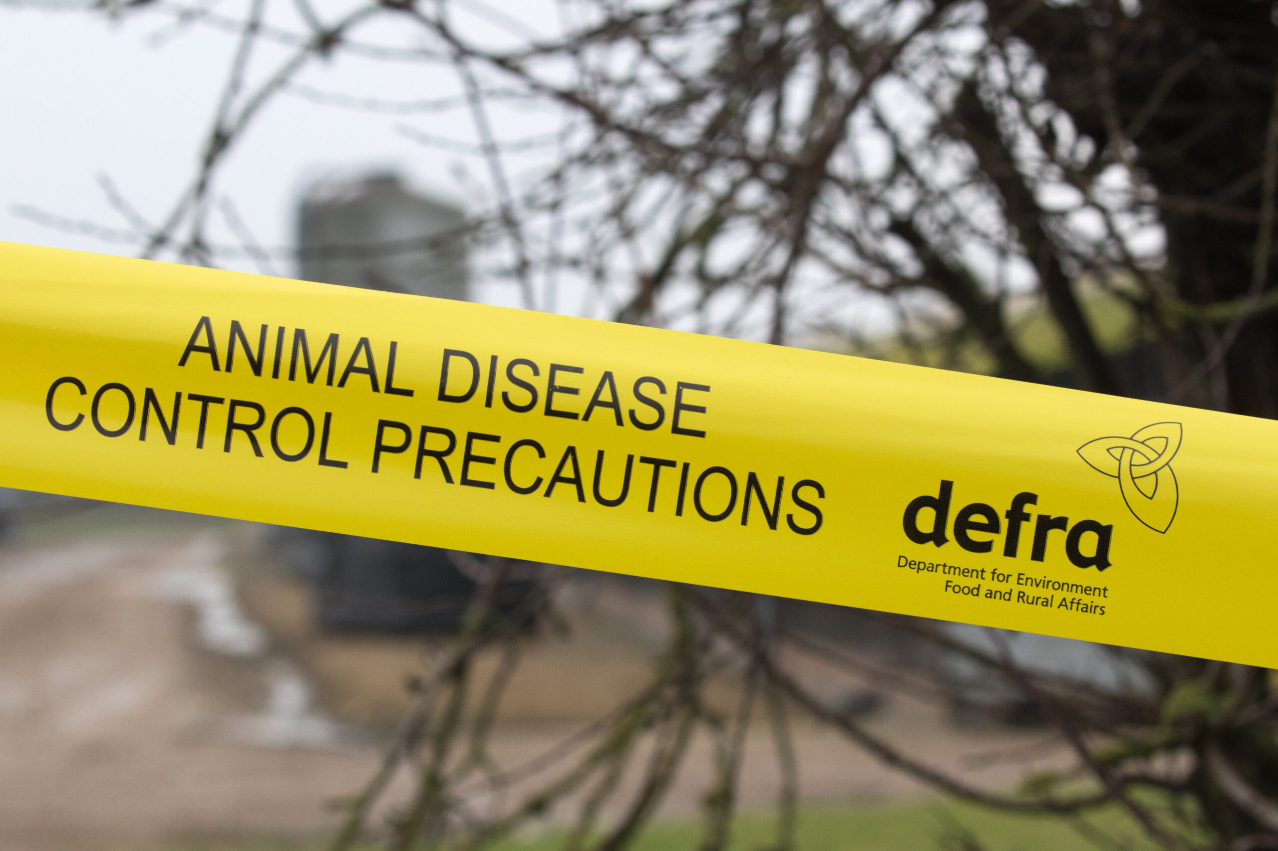 Government announces updated ASF control strategy - Pig World