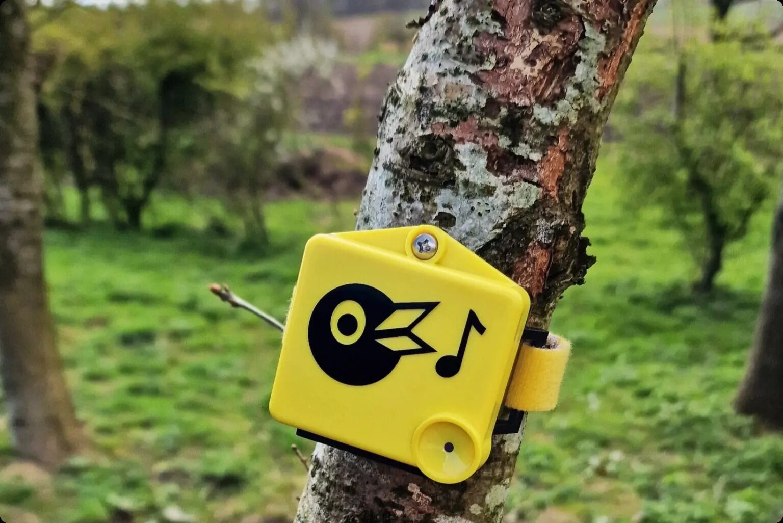 AI birdsong tech helps measure biodiversity on Pilgrim's farms - Pig World
